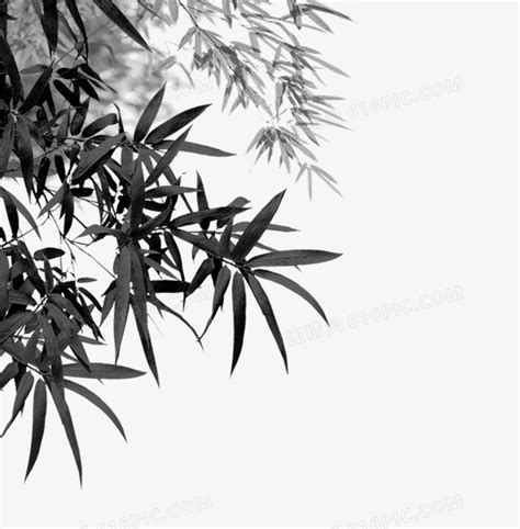 水墨竹子竹叶图片免费下载 PNG素材 编号18midek5x 图精灵