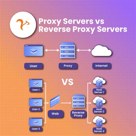 Forward Proxy Vs Reverse Proxy Servers Netnut