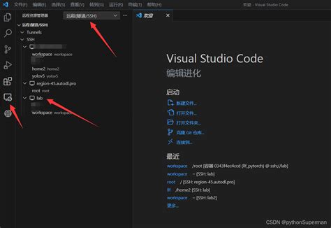 python 关于使用统一服务器，vscode和网页版jupyter notebook的交互问题 游戏逆向 游戏安全