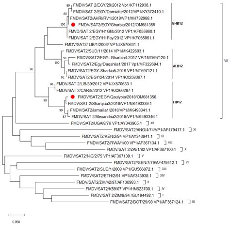 Phylogenetic Tree Based On Vp1 Gene Using The Neighbor Joining Method Download Scientific