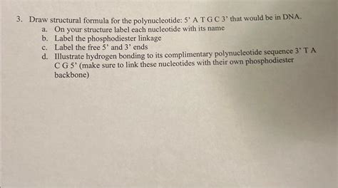 Solved Draw Structural Formula For The Polynucleotide 5 ﻿a
