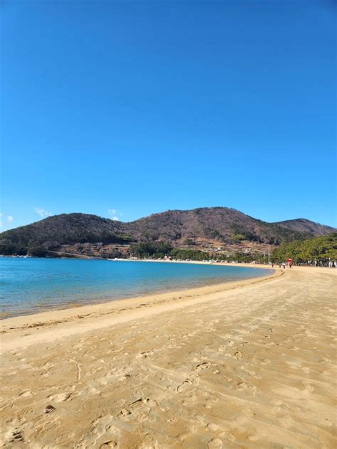 반려생활 [애견동반남해여행] 보리와 남해로 떠나는 힐링 여행 다랭이마을 상주은모래비치 포토존 남해 애견동반 식당 독일마을 미국마을