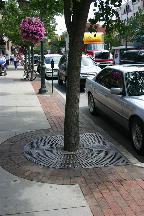 Modern Tree Grate Design Ideas For 2022 Engineering Discoveries Tree Grate Streetscape