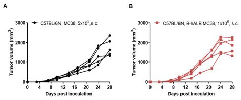 Human Alb Mc38 Cell Lines Biocytogen