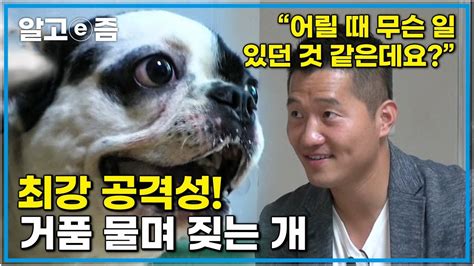 거품을 물 정도로 심한 공격성을 보이는 개가 강형욱 훈련사를 만났다 거품을 물 정도로 사람을 싫어하는 개의 공격성 잠재울 수 있을까│세상에 나쁜 개는 없다│알고e즘