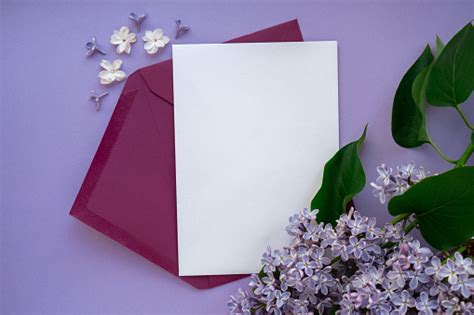 보라색 배경에 빈 보라색 봉투와 아름다운 봄 라일락 꽃이 있는 구성 모형 카드 초대장 인사말 카드 엽서 복사 공간 템플릿입니다