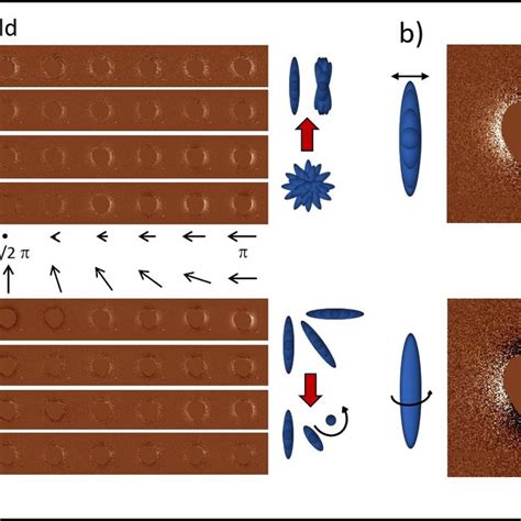 a stroboscopic saxs data by hematite nanospindles in alternating top