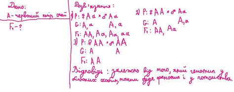 У мух дрозофіл червоний колір очей доміниє над білим яким буде потомство при схрещуванні