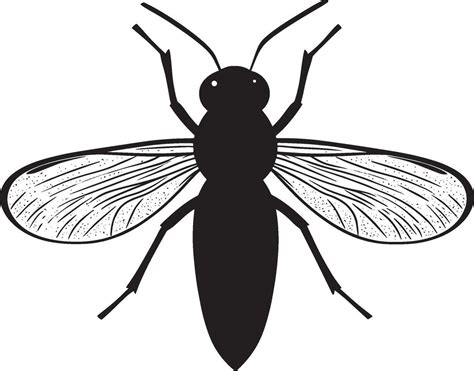 Monochrome Illustration Of A Firefly Insect Symbol 55855101 Vector Art