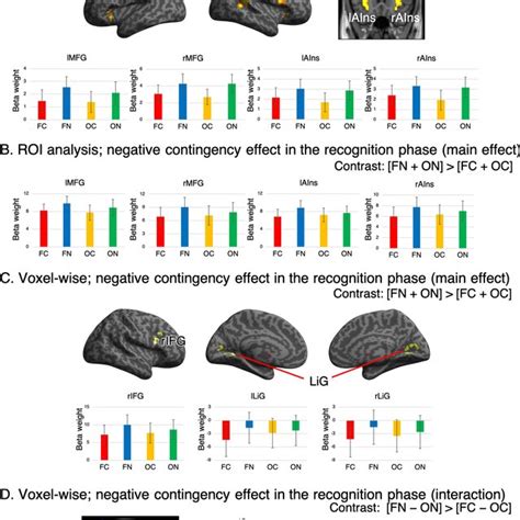 Brain Activation Representing A Positive Contingency Effect Brain
