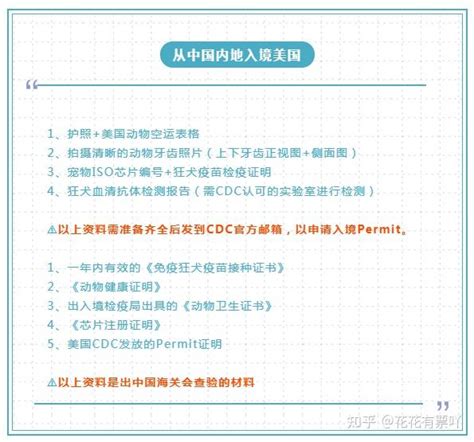 出国携带宠物出境政策明白纸 知乎