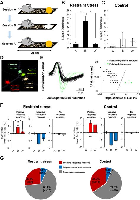 Extracellular Single Unit Recording Of Aic Neurons During Fear And Download Scientific Diagram