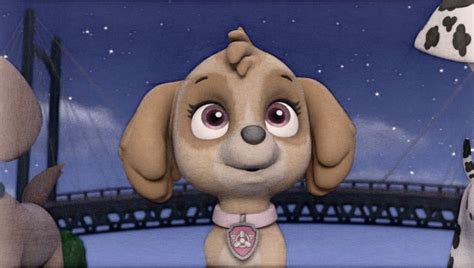 Skye Skye And Chase Paw Patrol Fan Art Fanpop