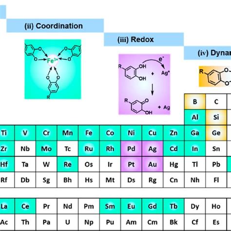 Pdf Metal Ion Directed Functional Metalphenolic Materials