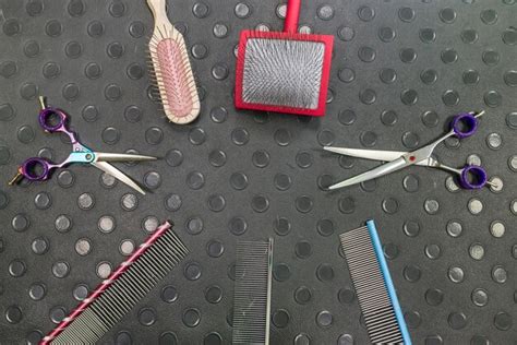 Acessórios para cuidar de cães o conceito de publicidade para cuidar e cuidar de cães