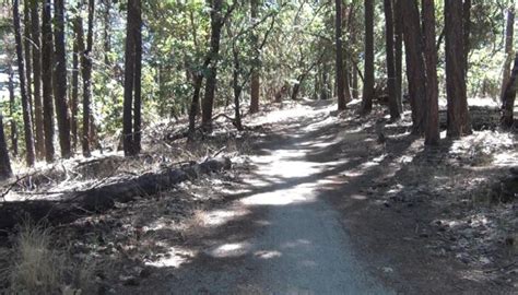 Ashland Trails Alice In Wonderland Hiking Trail