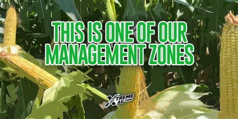 Food Grade Corn Management Matt Swansons Strategy