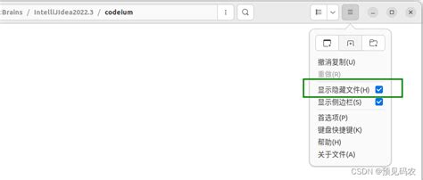 PhpStorm 使用 AI 代码生成工具 Codeium 趣和 quhe net