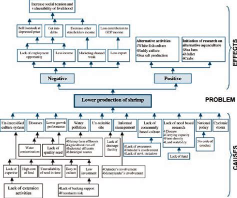 Problem Tree Analysis For Lower Production Of Shrimp In The Coastal