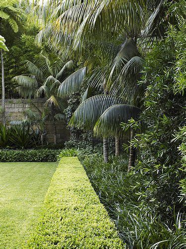 820 Ideas De Paisaje Tropical Paisaje Tropical Jardines Tropicales Jardines