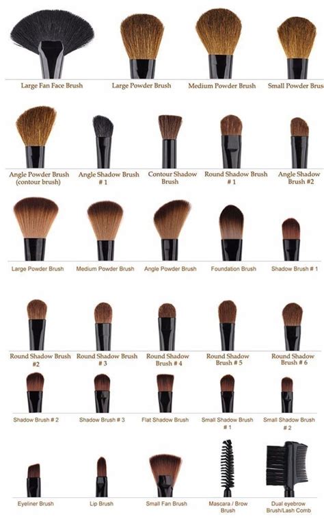 Pin By Yael H On Make Up Makeup Brushes Makeup Order Eye Makeup Brushes