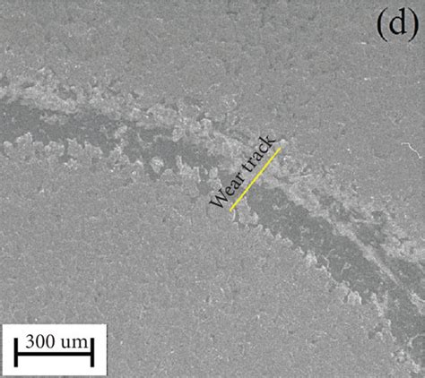 The Sem Micrographs Of A Ti Substrate B B C B1 D B2 And E Download Scientific