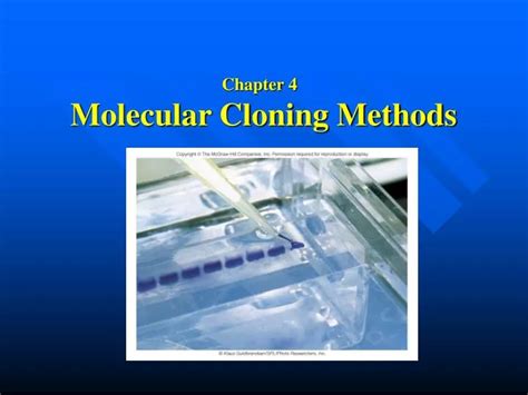 Ppt Chapter 4 Molecular Cloning Methods Powerpoint Presentation Free Download Id478885