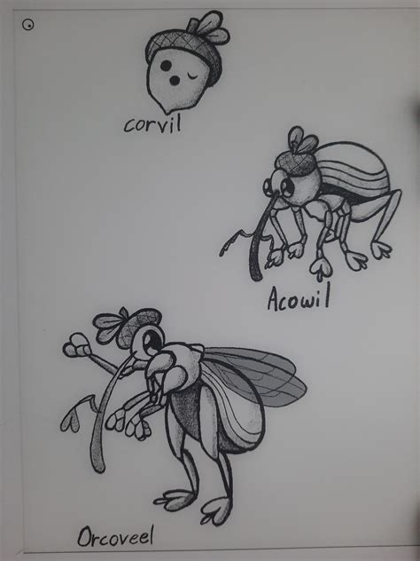 Fairy Bug Type Evo Line Based On An Acorn Weevil R Fakemon