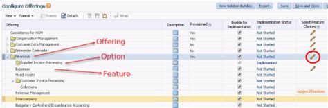 Oracle Fusion Financials Overview Of Functional Setup Manager