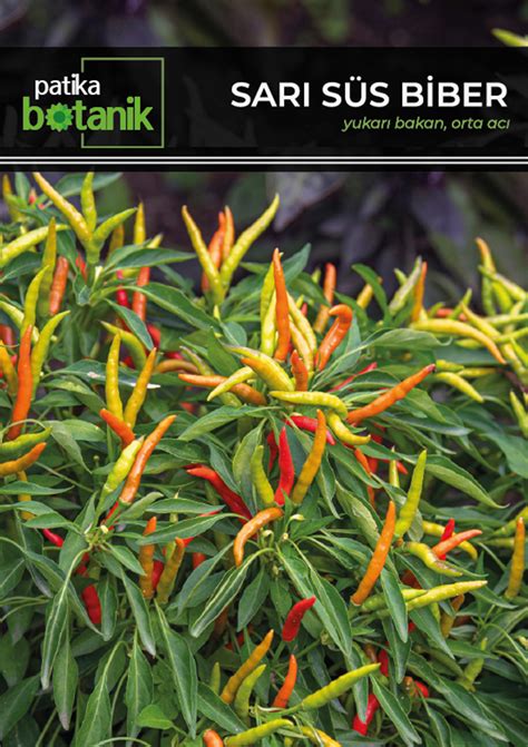 200 Adet Sarı Süs Biber Tohumu — Patika Botanik Tohumlar Sebze