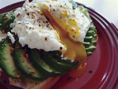 트러플 아보카도 계란 오픈 샌드위치