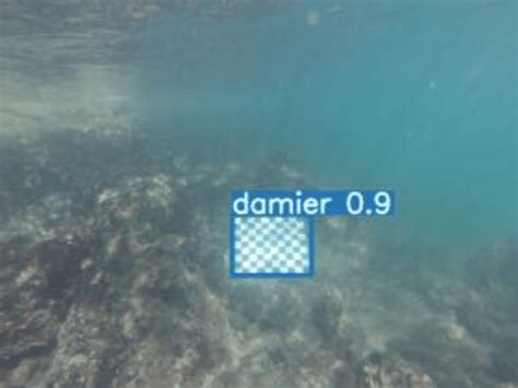 Four Examples Of Bounding Boxes Detected By Yolo That Represent Download Scientific Diagram