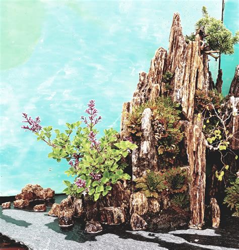 청산에 살리라 나는 수풀 우거진 청산에 살으리라 나의 마음 푸르러 청산에 살으리라 이 봄도 산 허리엔 초록빛 물 들었네 세상 번뇌 시 ♤꿈이있는 정원♤ 예쁜정원