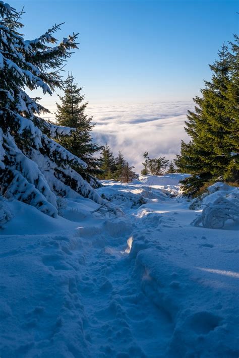 دانلود والپیپرهای با کیفیت برفی برای موبایل