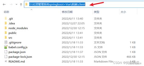 Vue Vue Csdn