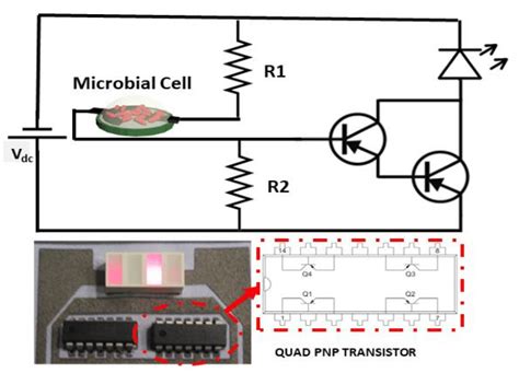 Schematic Of The Electric Circuit And Photo Of The Transistor And The Download Scientific