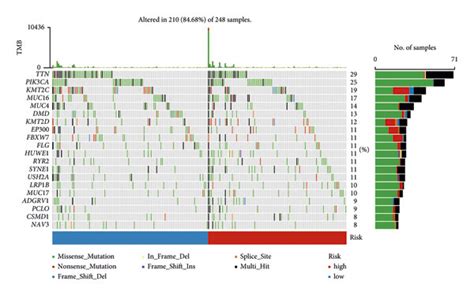 Somatic Genomic Alternation Analysis The Summary Of The Mutated Genes