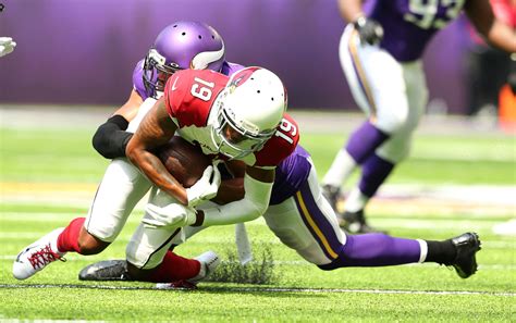 Arizona Cardinals Vs Minnesota Vikings 5 Stock Risers