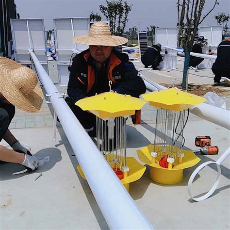 China Outdoor Solar Pest Killer Lamp With Effective Insecticidal Light