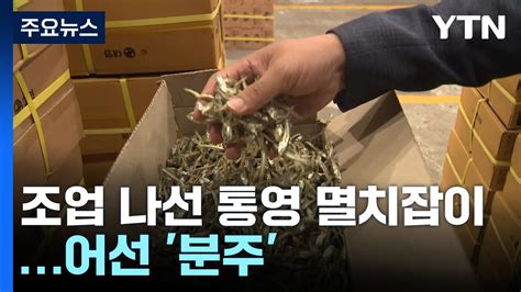 만선 바라며통영 멸치잡이 배 올해도 바다로 Ytn Youtube