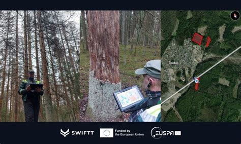 Swiftt A Copernicus Based Forest Management Tool To Map Mitigate And Prevent The Main Threats