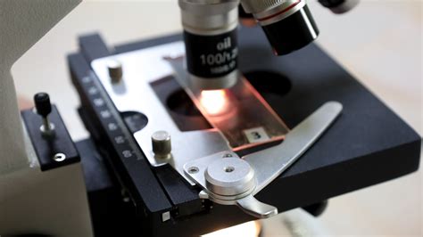 Ученые обнаружили биомаркеры указывающие на деменцию за 10 лет до ее начала