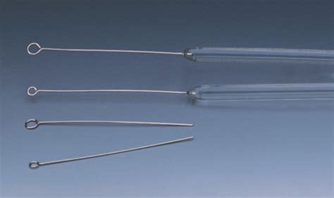 loops platinium iridium 90 10 loop 2mmØ fused into glass rod