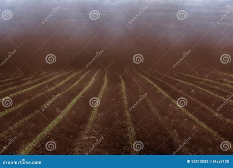 Everything Is Drowning In Dense Stream Of Dust Stock Photo Image Of Whirlwind Humus