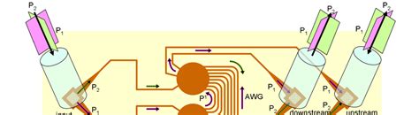 Polarization Diversity Based On A Two Dimensional Diffraction Grating Download Scientific