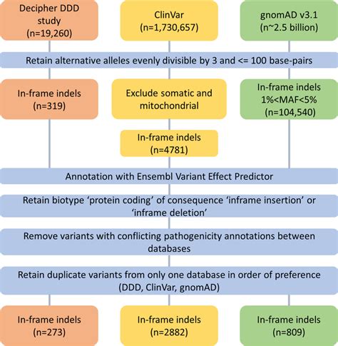 Flowchart Of Dataset Construction We Included In Frame Indels From Download Scientific Diagram