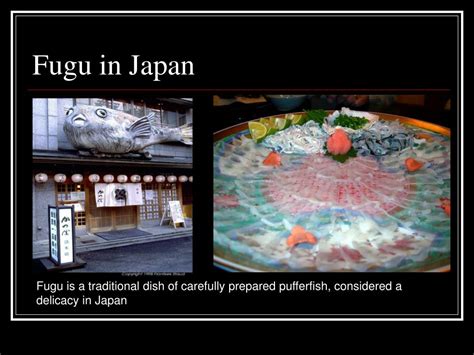 Ppt Tetrodotoxin And Maculotoxin Powerpoint Presentation Free