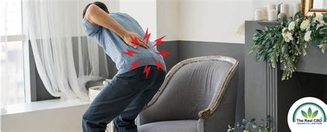 Cbd For Sciatica Can It Help The Real Cbd Cbd For Sciatica Can It Help The Real Cbd