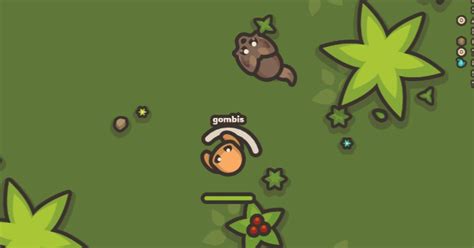 Taming Io Mainkan Di Gombis