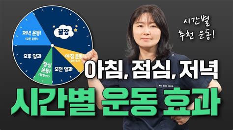 유산소 근력 운동은 무조건 좋다 시간대별 효과 만점 아침and점심and저녁 운동 추천 I 직장인 하루 운동 Youtube